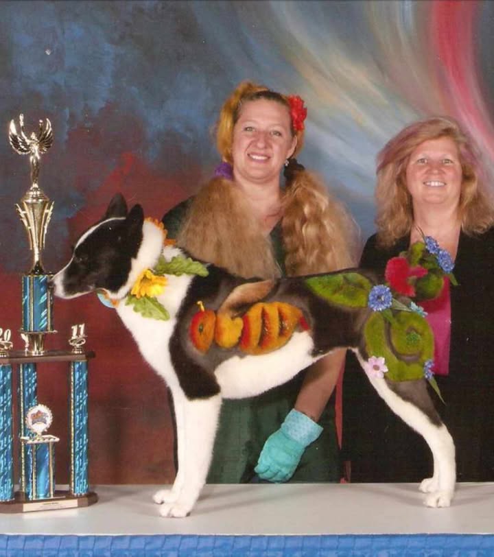 Sandra Hartness Creative Grooming Artist in Yucca Valley, California