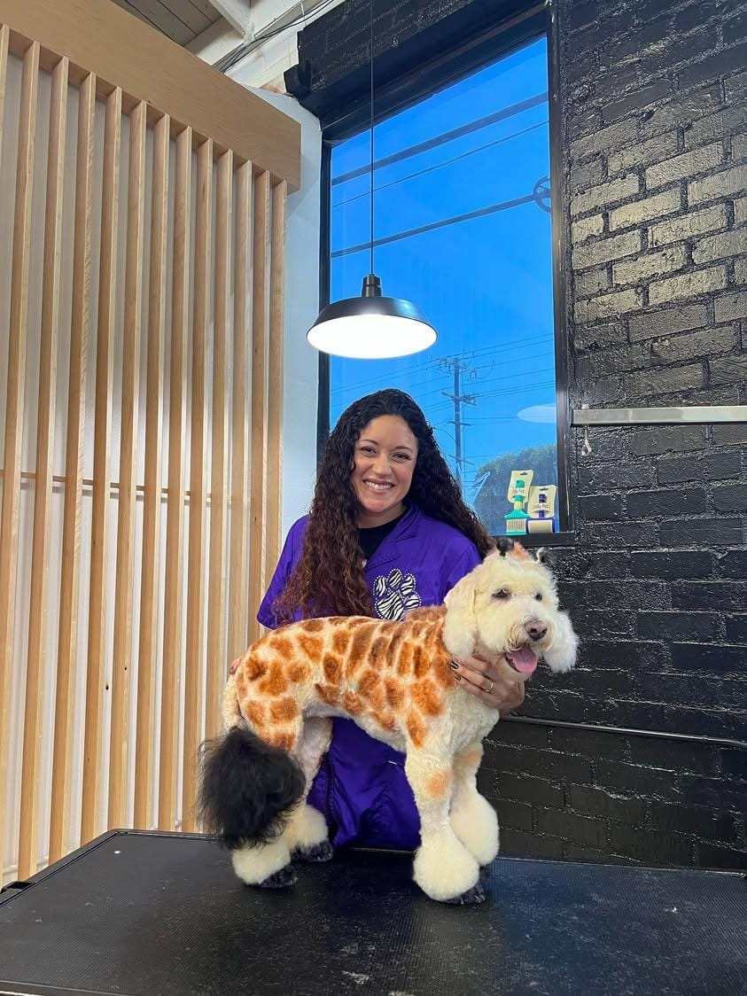 Erin Huland Creative Grooming Artist in San Bernardino County, California