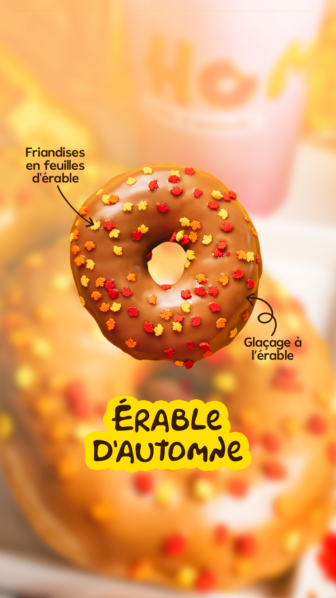 Homers Donuts | Boîte à beignes de Montréal