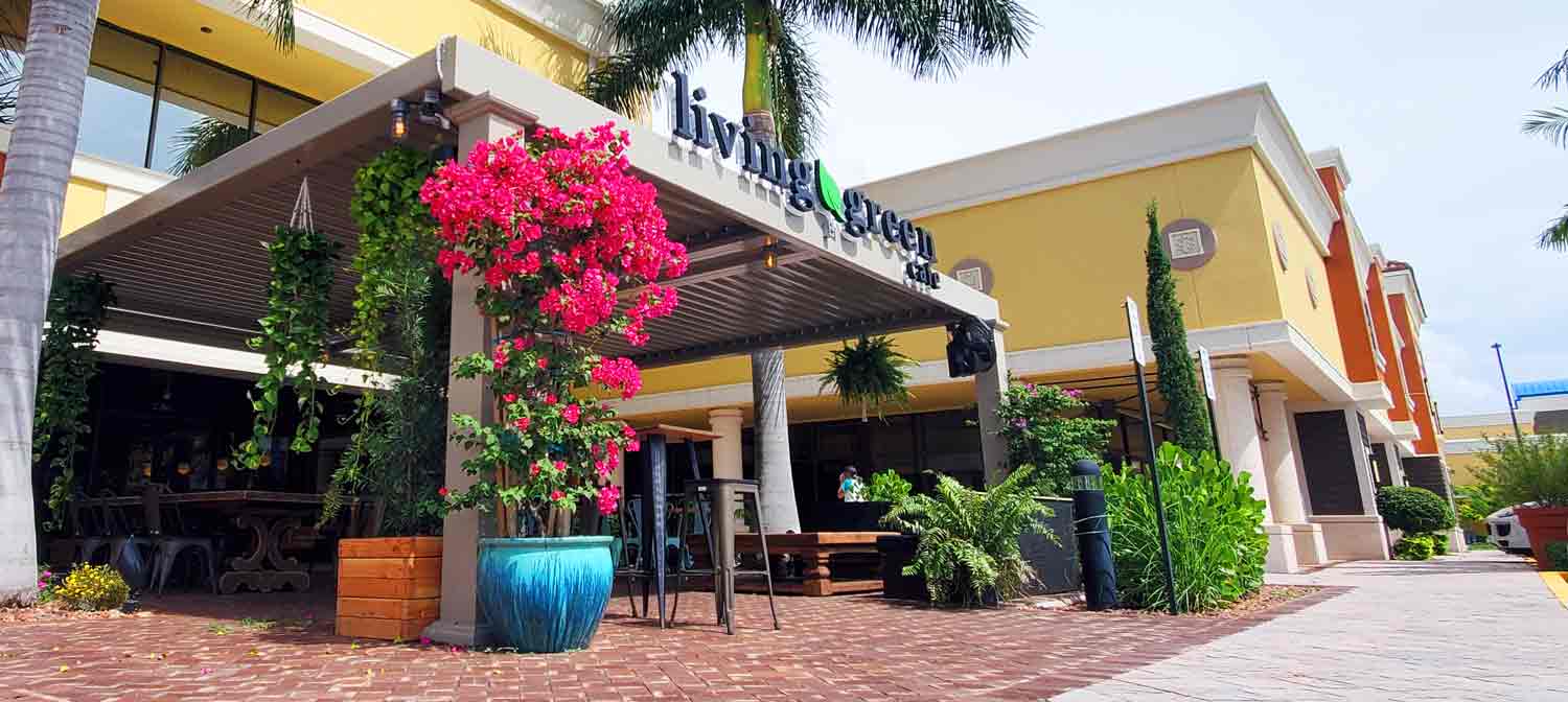 Living Green Cafe | Healthy Tasty Food