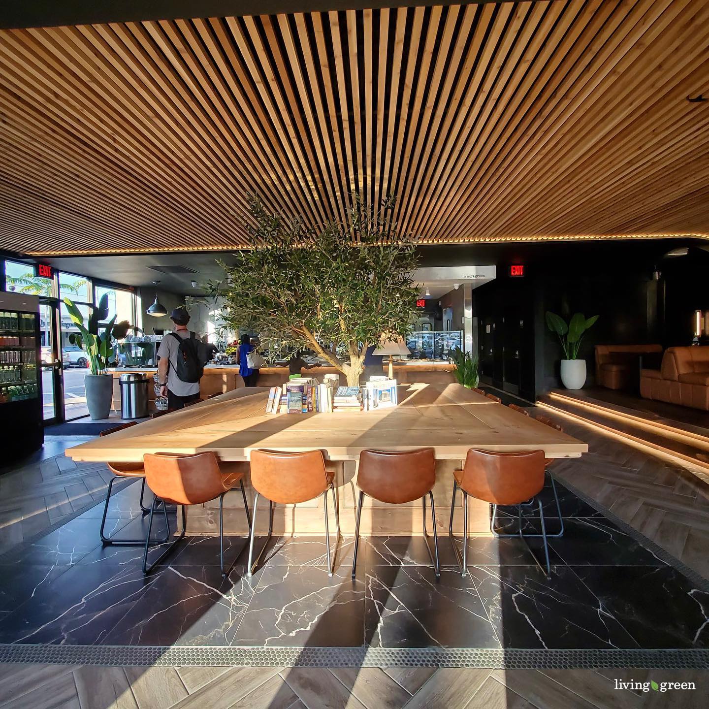 Living Green Cafe | South Florida’s Best Healthy Restaurant