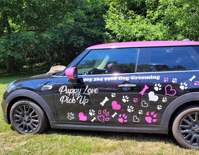 Puppy Love Spa | Pet Food & Dog Grooming in Vaughan, Caledon & Toronto