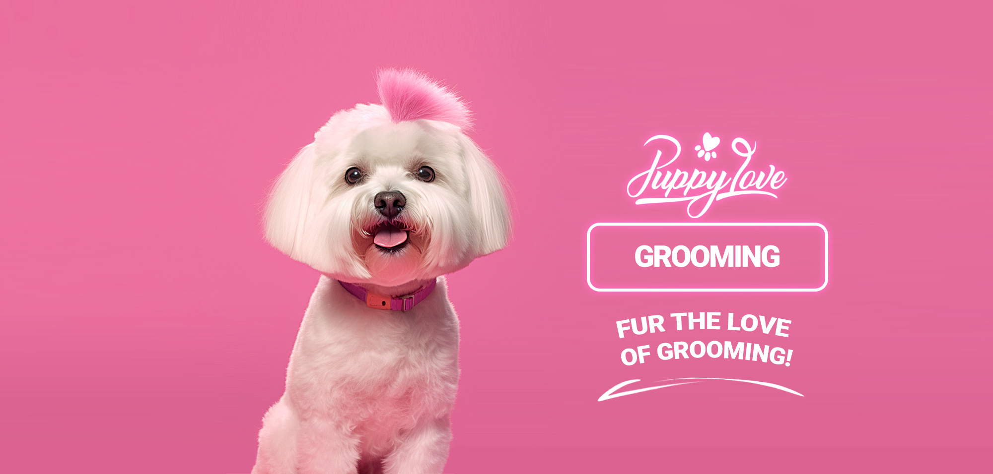 Dog Grooming Services | Puppy Love Spa