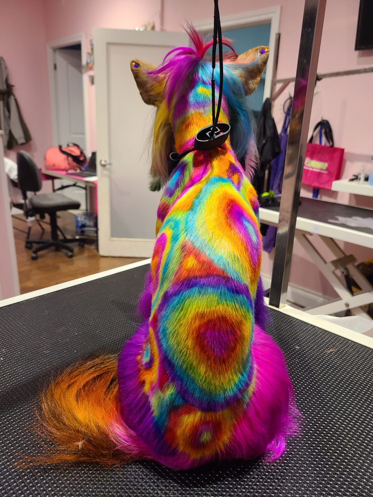 Creative Dog Grooming | Puppy Love Spa