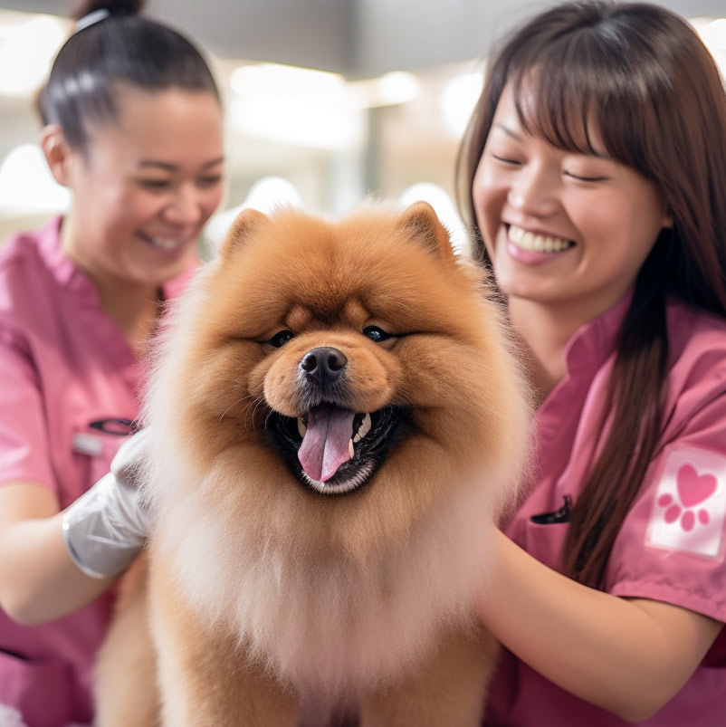 Dog Grooming Services | Puppy Love Spa